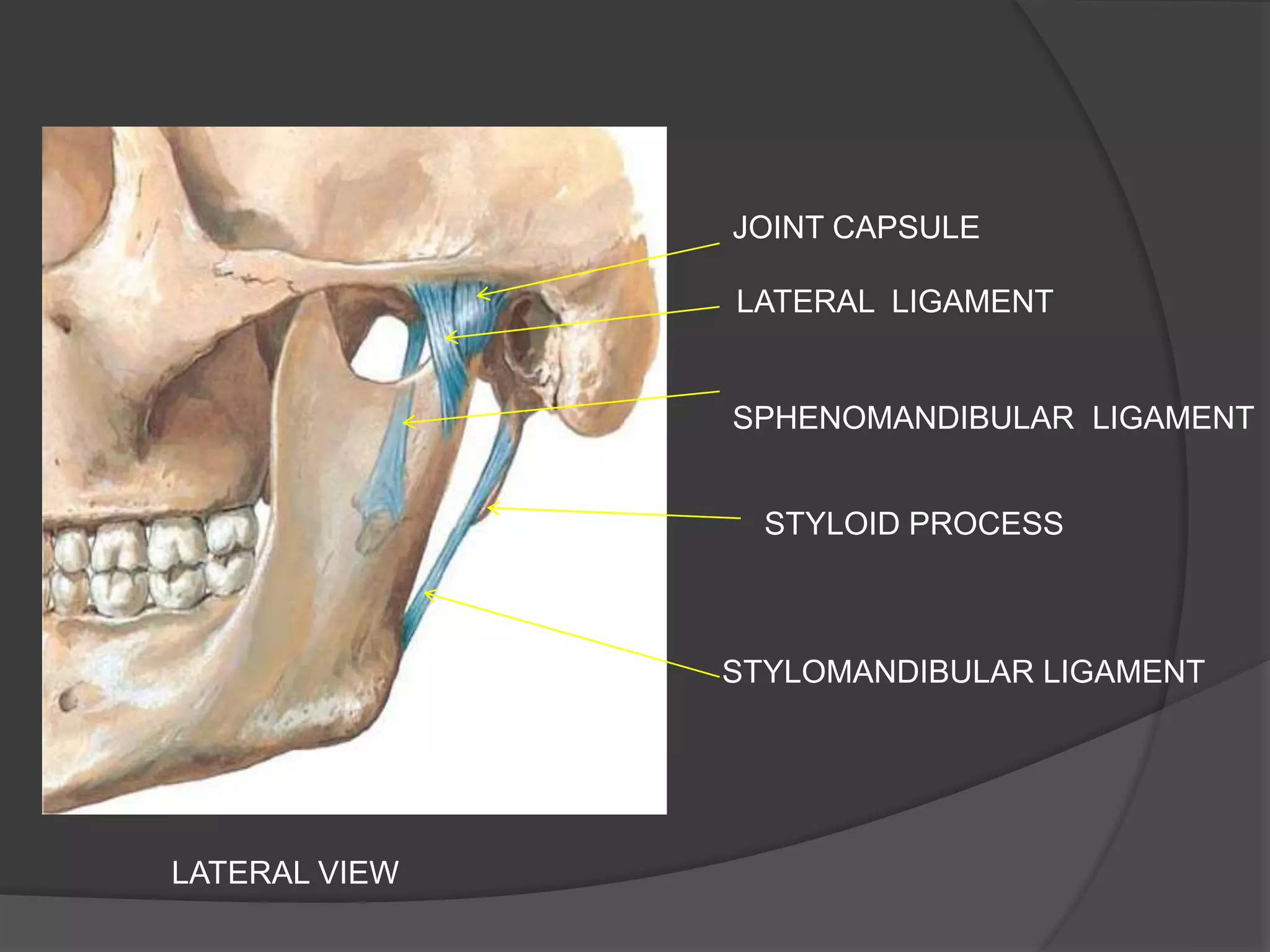 Anatomy of Temporomandibular Joint | PPSX