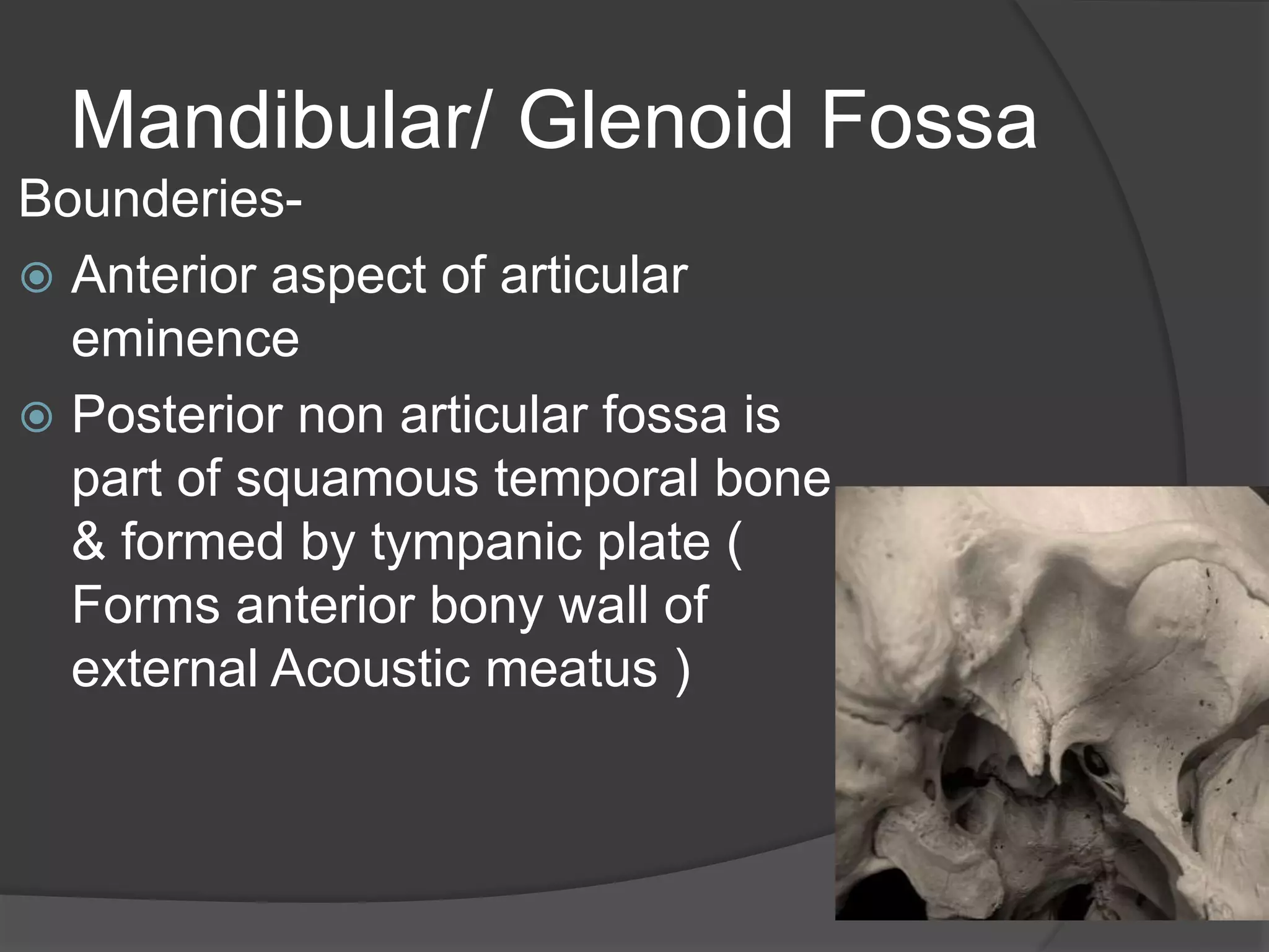 Anatomy of Temporomandibular Joint | PPSX