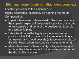 Anatomy of Temporomandibular Joint | PPSX