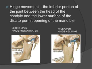 Anatomy of Temporomandibular Joint | PPSX