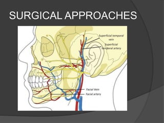 Anatomy of Temporomandibular Joint | PPSX