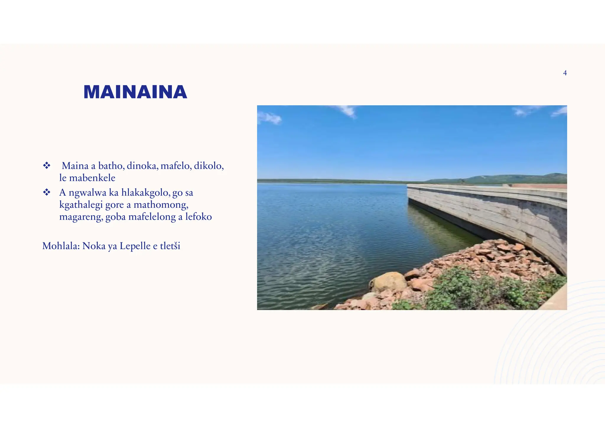 Mehuta ya maina (Nouns and types of nouns) | PDF