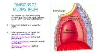 Radioanatomy of mediastinum and approach to mediastinal masses | PPTX