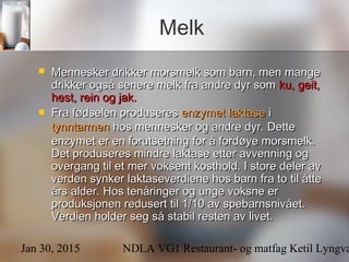 Meieriprodukter | PPT