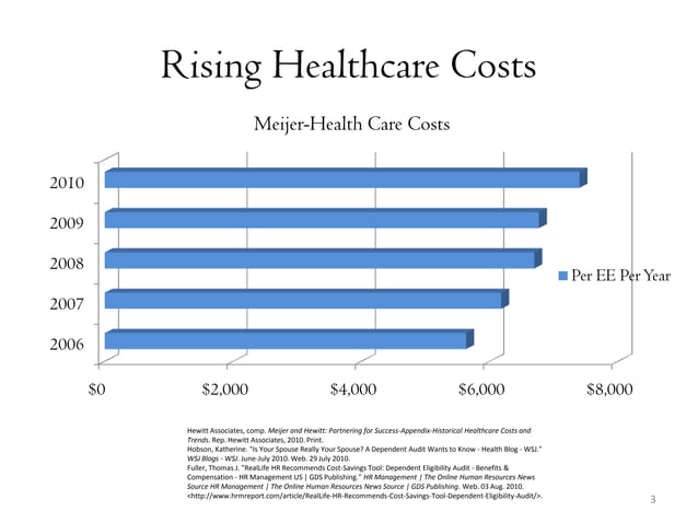 Meijer Presentation Final | PPTX | Motor Insurance | Insurance