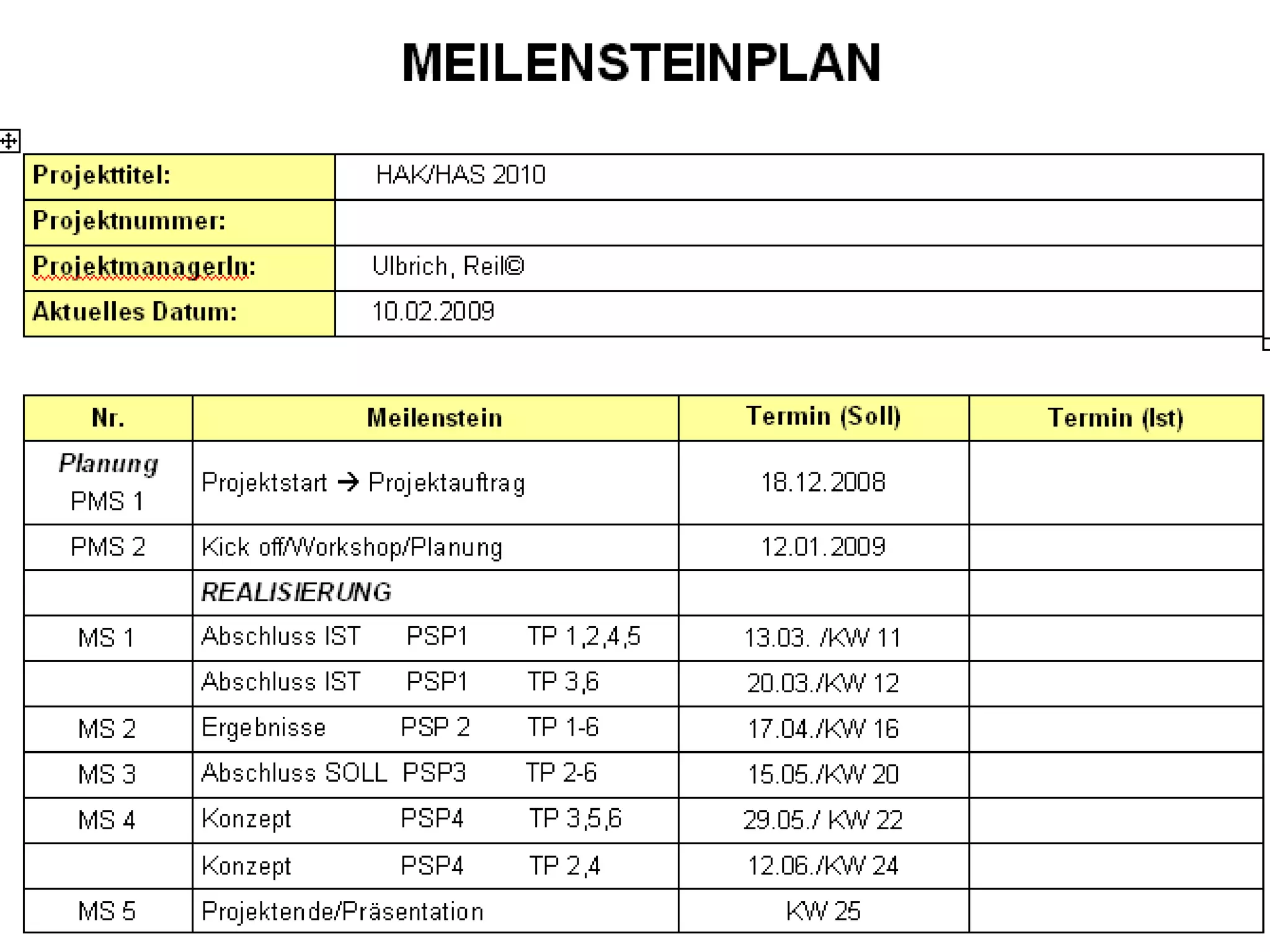 Meilensteinplan | PPT