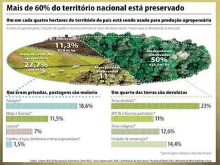 Meio ambiente – as 17 leis ambientais do | PPTX