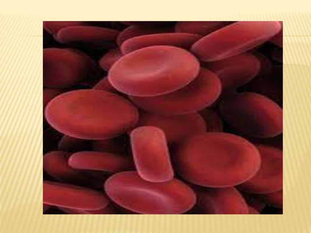 Meios de contraste iodado