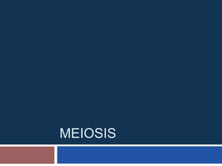 Meiosis | PPTX