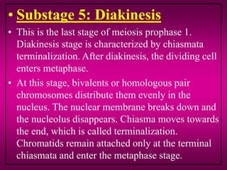 meiosis-1.ppt