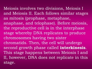 meiosis-1.ppt
