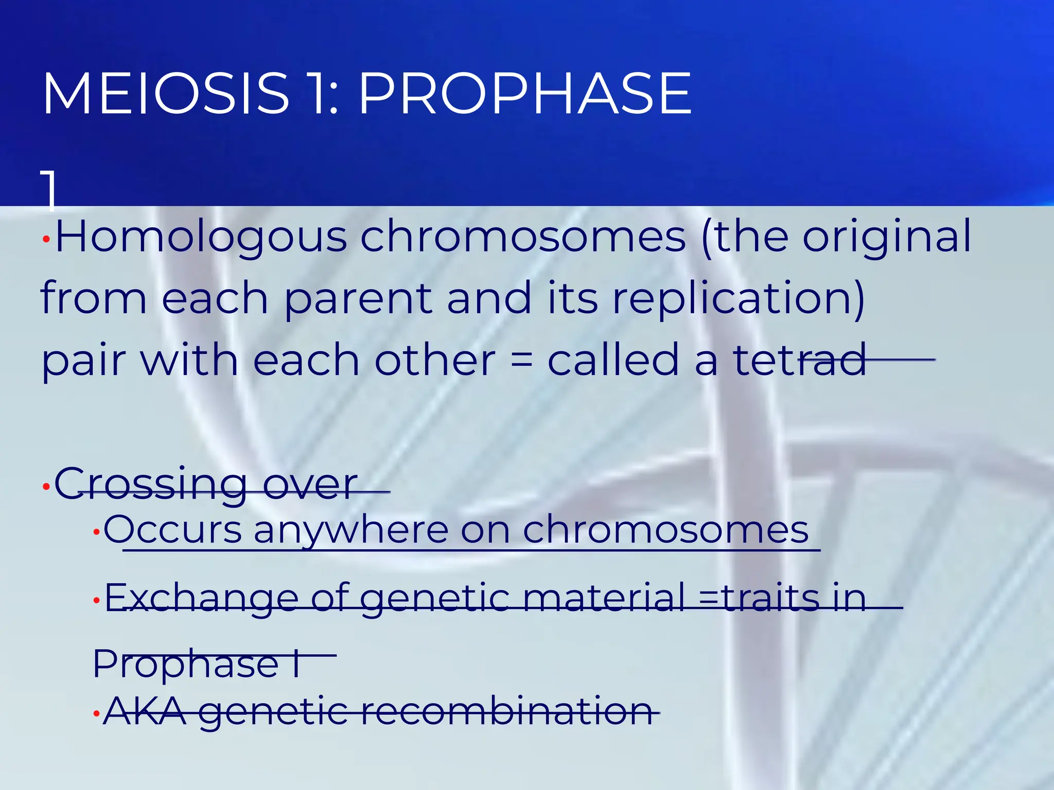 Science meiosis in grade 11 stemmmmmmmmm | PDF