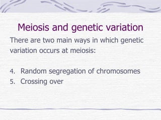 Meiosis | PPT