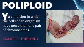 meiosis_1_geneticsbskslwoodowosldndwllwo | PPTX