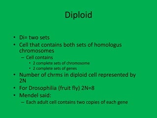Meiosis | PPTX
