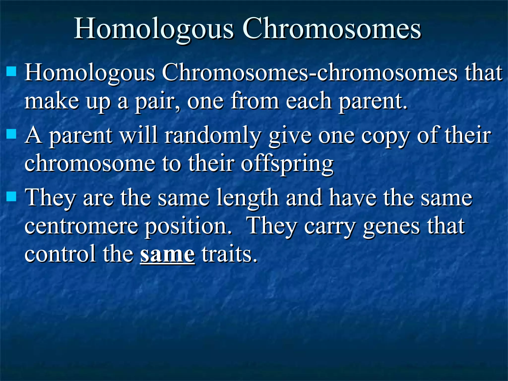 Meiosis | PPT