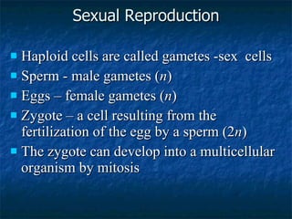 Meiosis | PPT