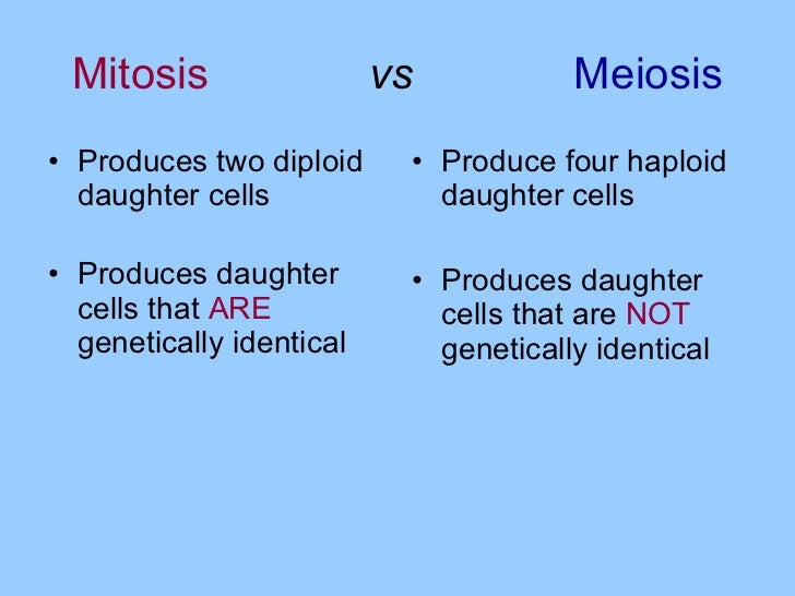 Mitosis Vs Meiosis Haploid Diploid