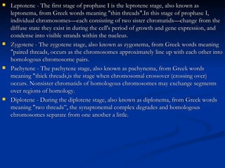 Meiosis | PPT | Infertility | Reproductive Health