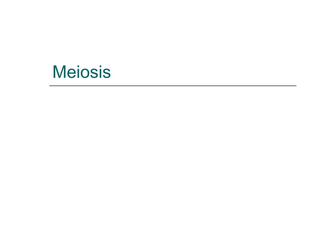 Meiosis | PPT