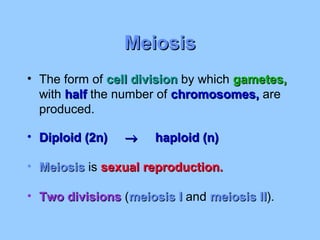 Meiosis Powerpoint High School