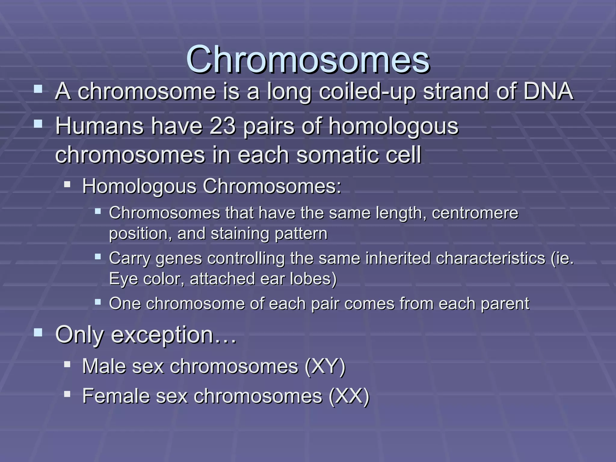 Meiosis | PPT | Biological Sciences | Science