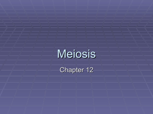 Meiosis | PPT | Biological Sciences | Science