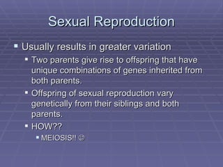 Meiosis | PPT | Biological Sciences | Science