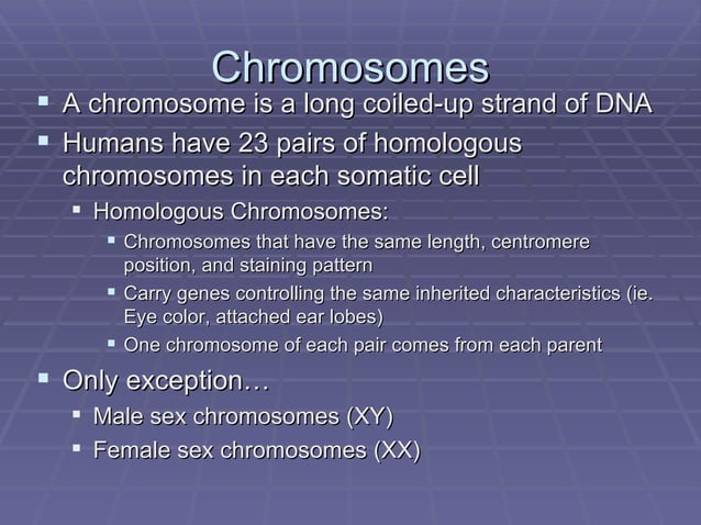 Meiosis | PPT | Biological Sciences | Science
