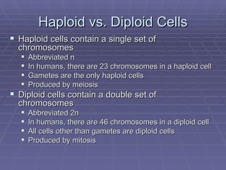 Meiosis | PPT | Biological Sciences | Science