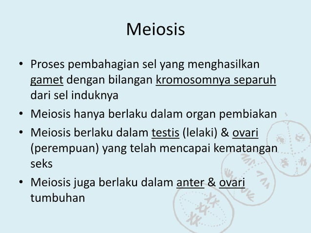 Meiosis | PPT