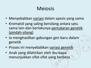 Meiosis | PPT