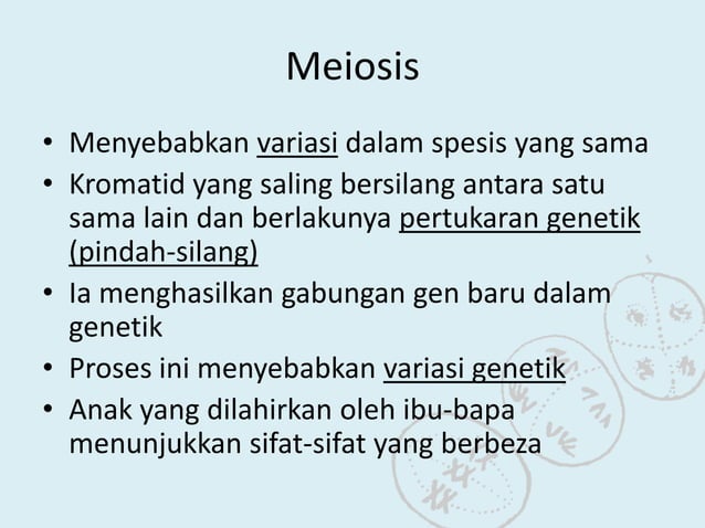 Meiosis | PPT