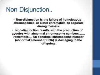 Cell Division - Meiosis | PPTX