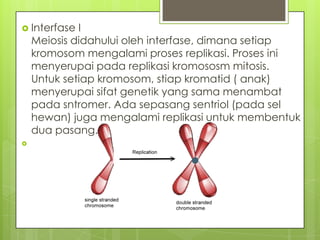 Meiosis | PPTX