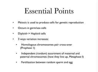 Meiosis | PDF