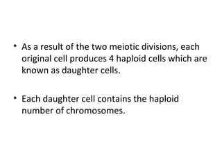 Meiosis | PPT