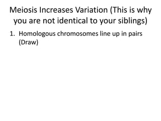 Meiosis | PPT