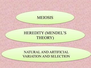 Meiosis, Heredity and Natural and Artificial Variation and Selection | PPTX