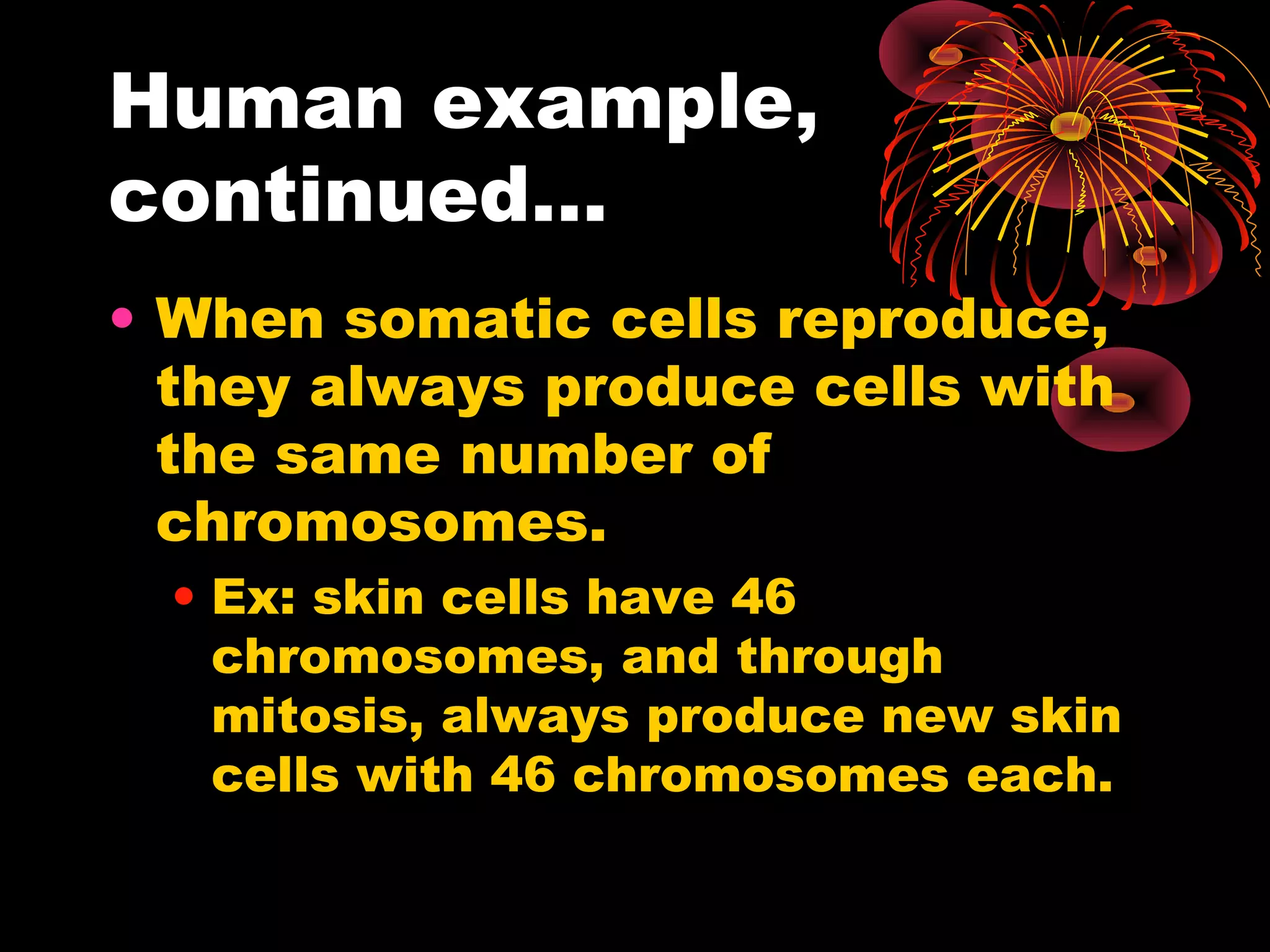 Meiosis | PPT