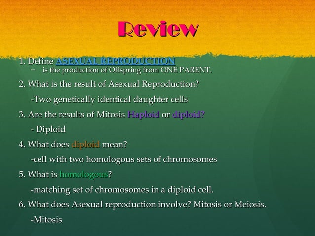Meiosis | PPT