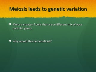 Meiosis | PPT