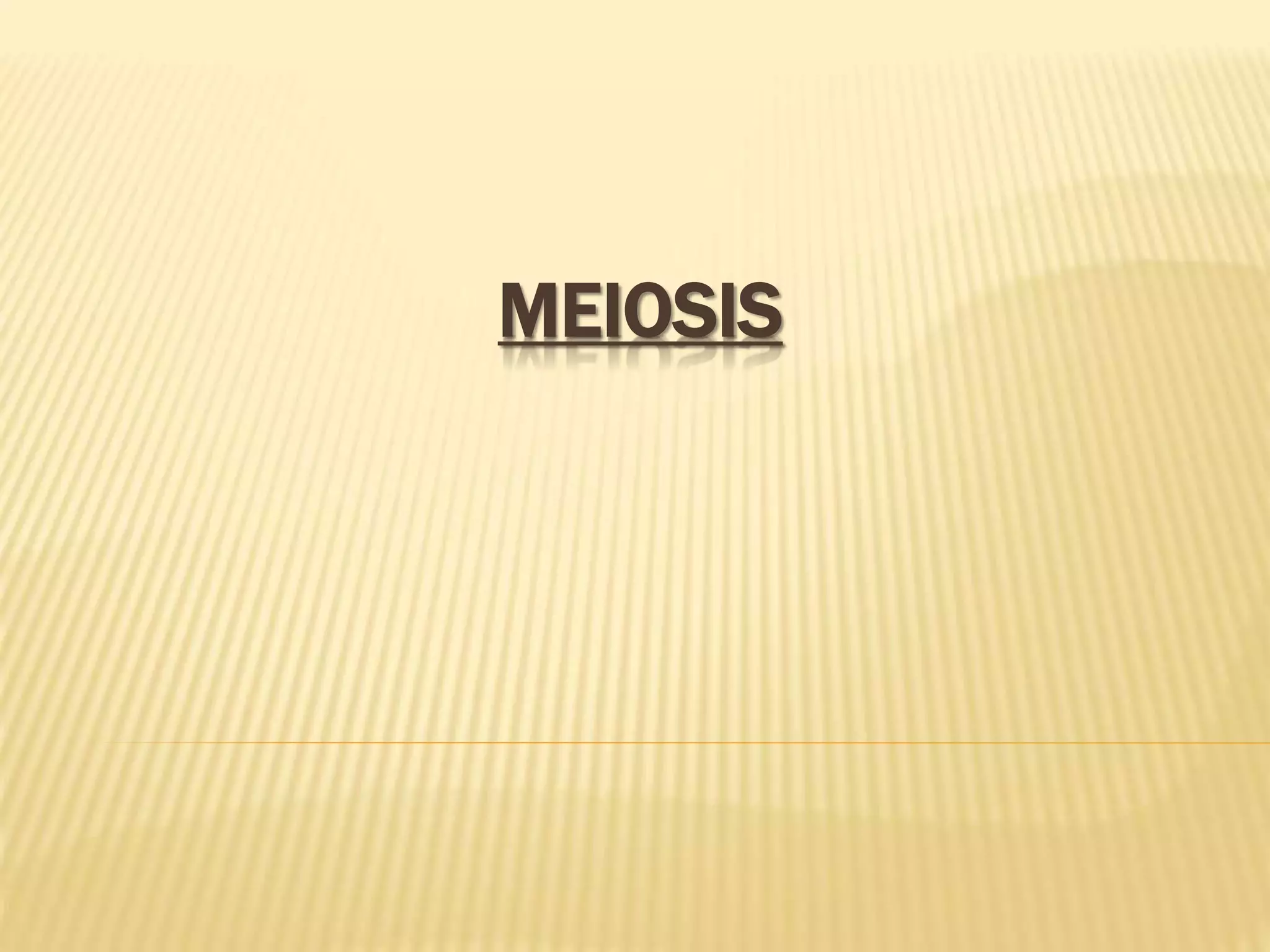 Meiosis Pptx