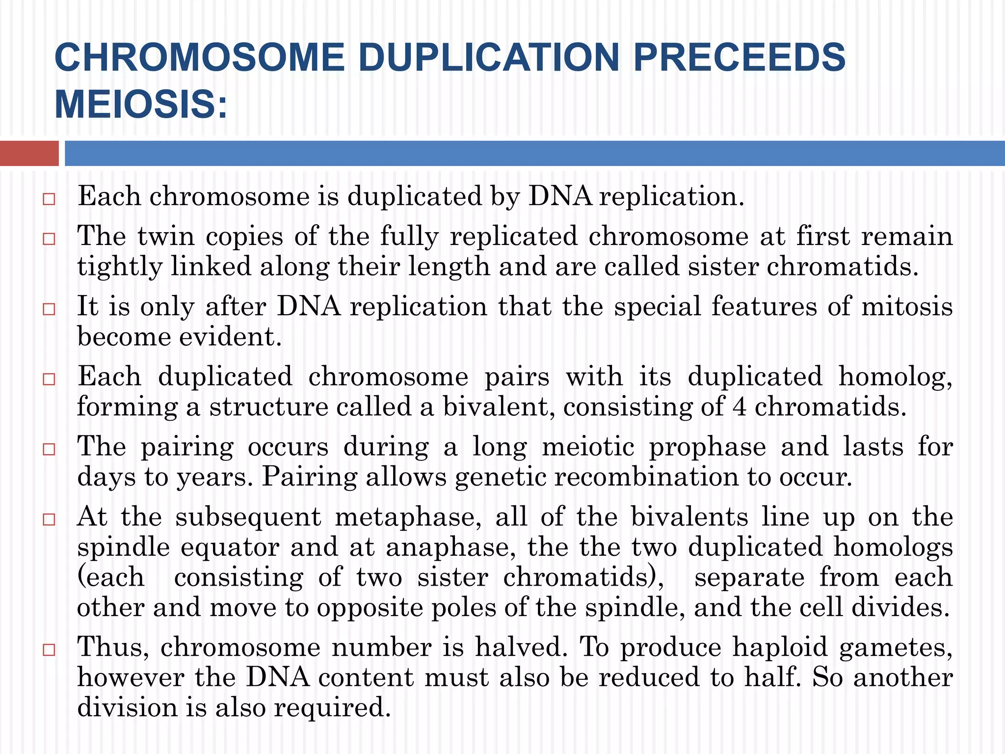 Meiosis | PPTX