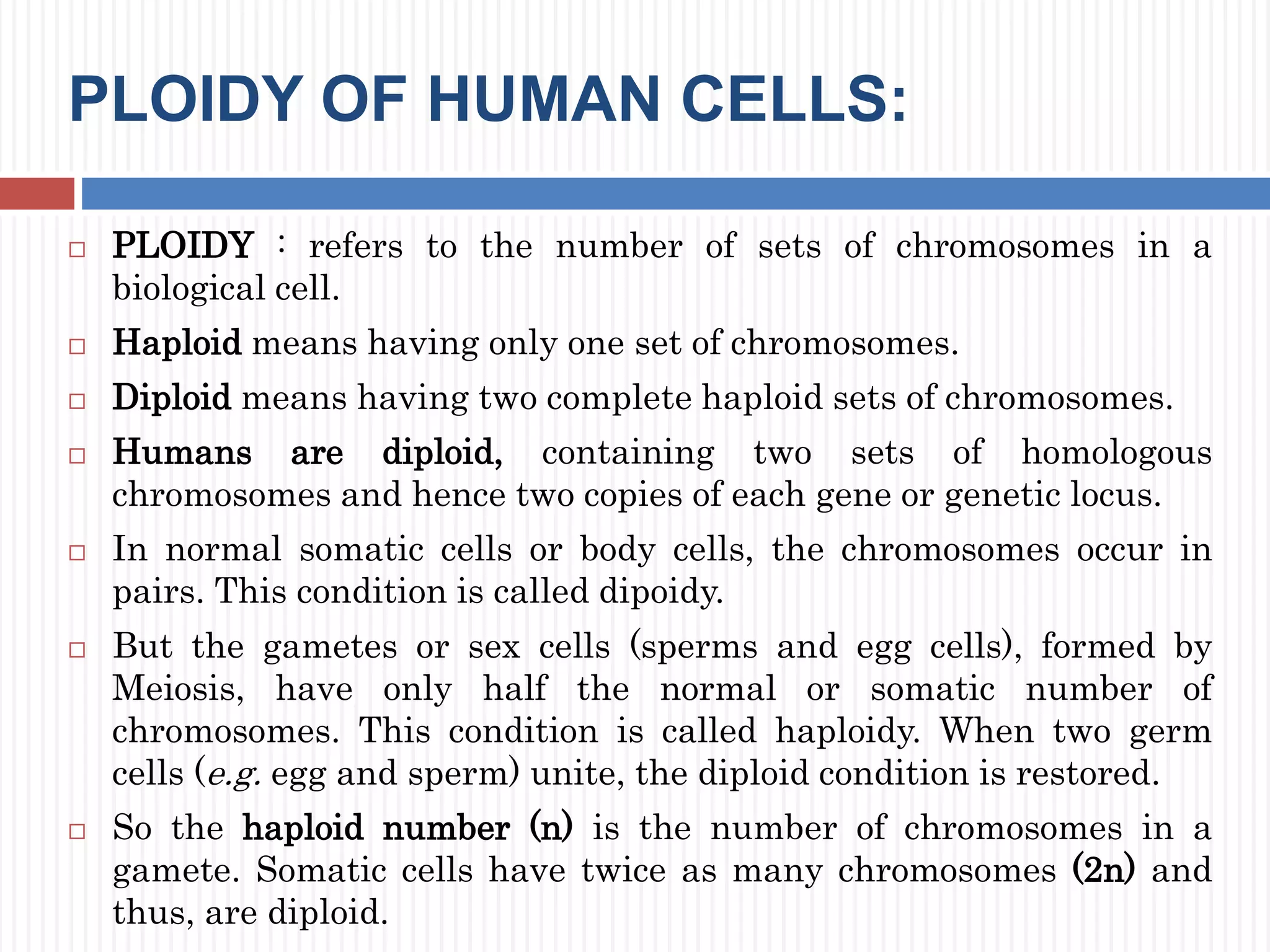 Meiosis | PPTX