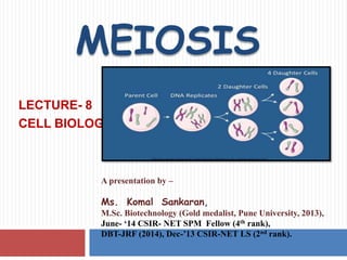 Meiosis | PPTX