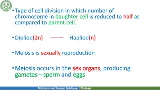 Meiosis | PPT