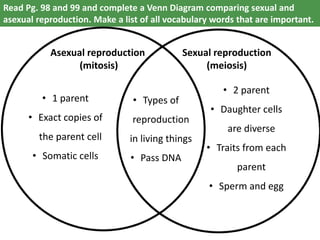 Mitosis & Meiosis | PPTX