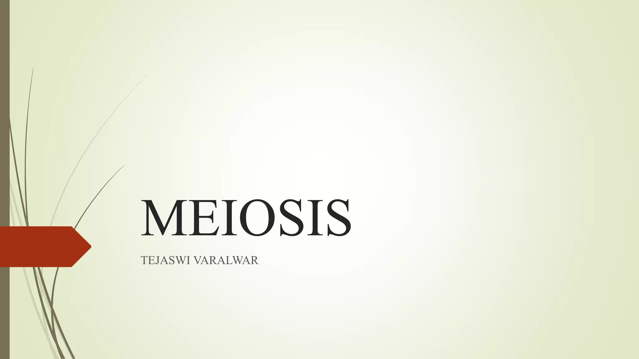 Meiosis Pptx