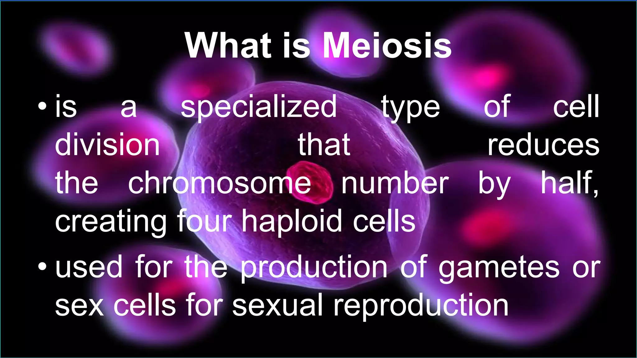 Meiosis, Sexual Reproduction, Meiosis 1 and 2 | PPTX